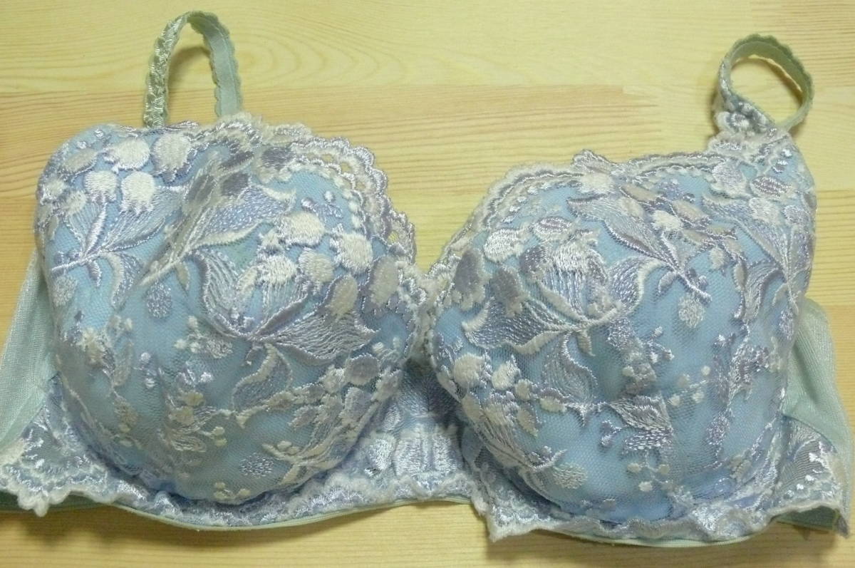 1026 ワコールブラジャー E75(Eカップ以上)｜売買されたオークション情報、yahooの商品情報をアーカイブ公開 - オークファン（aucfan.com）