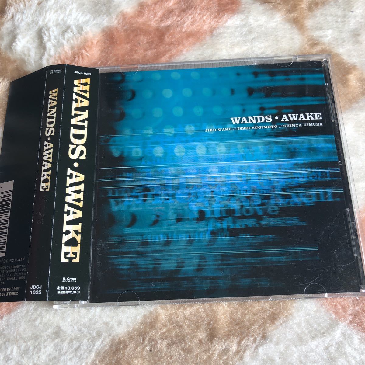 CD WANDS AWAKE(WANDS)｜売買されたオークション情報、yahooの商品情報をアーカイブ公開 - オークファン（aucfan.com）
