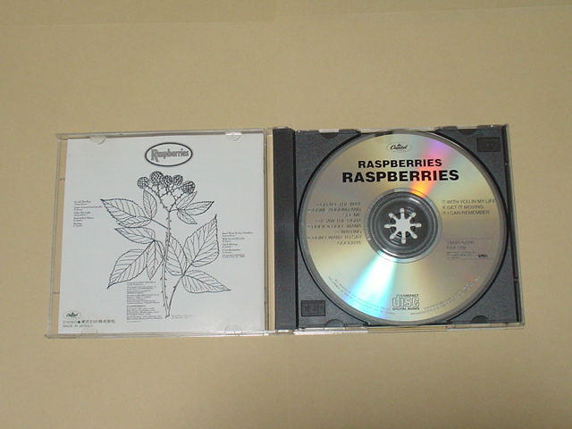 POWERPOP：RASPBERRIES / RASPBERRIES 国内盤 ERIC CARMEN WALLY BRYSON JIM ...
