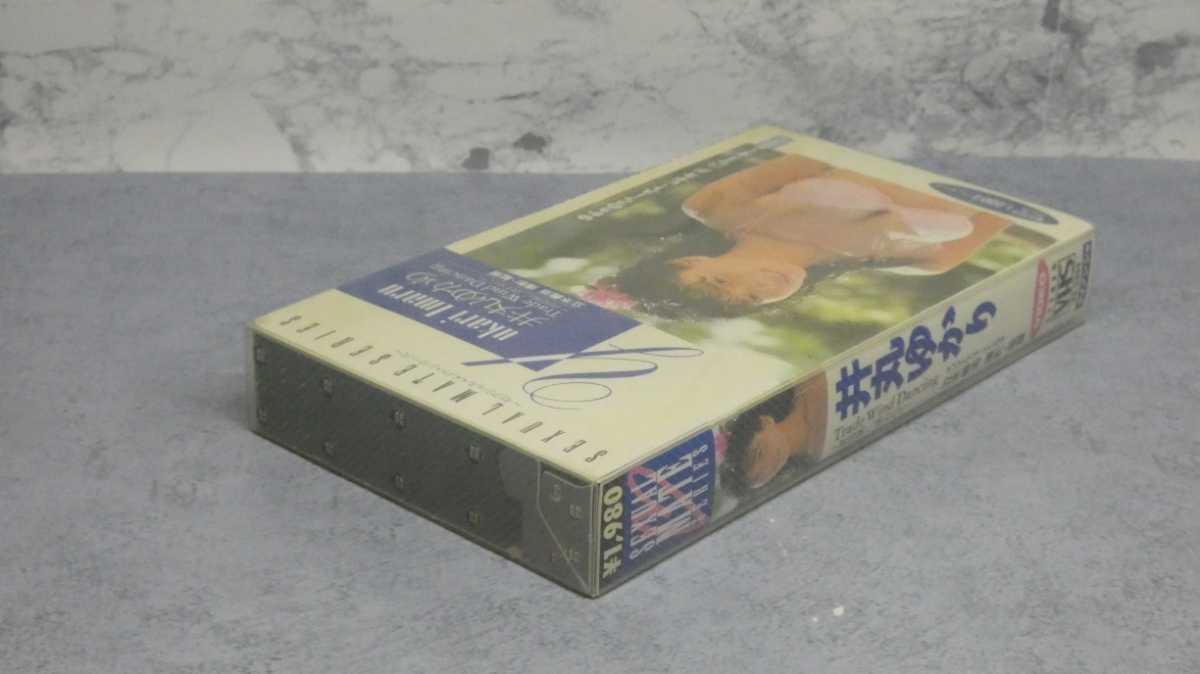 アイドル VHSビデオ 井丸ゆかり Trade Wind Dancing 30分 勁文社 1988年(あ行)｜売買されたオークション情報、yahooの商品情報をアーカイブ公開 - オークファン ...