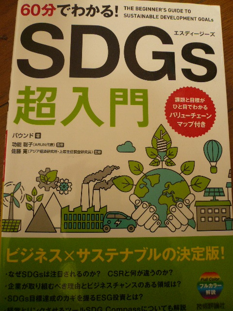 本 60分 わかる SDGs 超入門 サスティナブル ESG投資 経営 ビジネス CSR バリューチェーン 地球環境 温暖化 サプライチェーン 激安(環境)｜売買されたオークション情報 ...