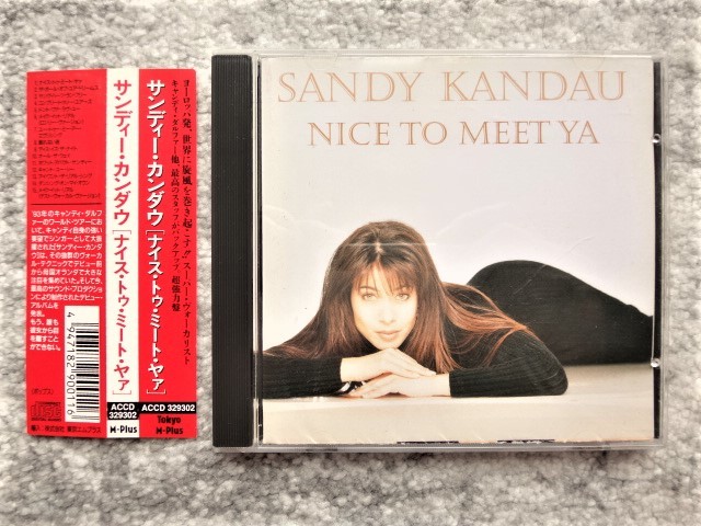 F SANDY KANDAU / NICE TO MEET YA 帯付き CDは4枚ま 送料198円(S)｜売買されたオークション情報 ...