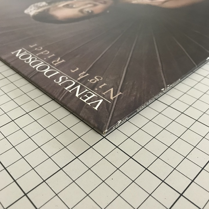 VENUS DODSON Night Rider US original LP '79年 Shining It's My Turn Patrick Adams Leroy Burgess NY ...