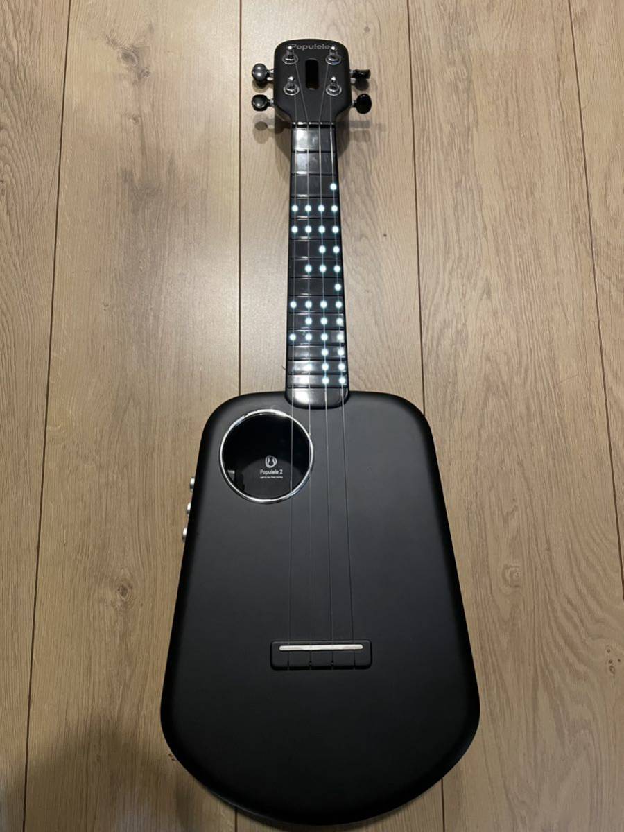 Populele2 ウクレレ(本体)｜売買されたオークション情報、yahooの商品情報をアーカイブ公開 - オークファン（aucfan.com）