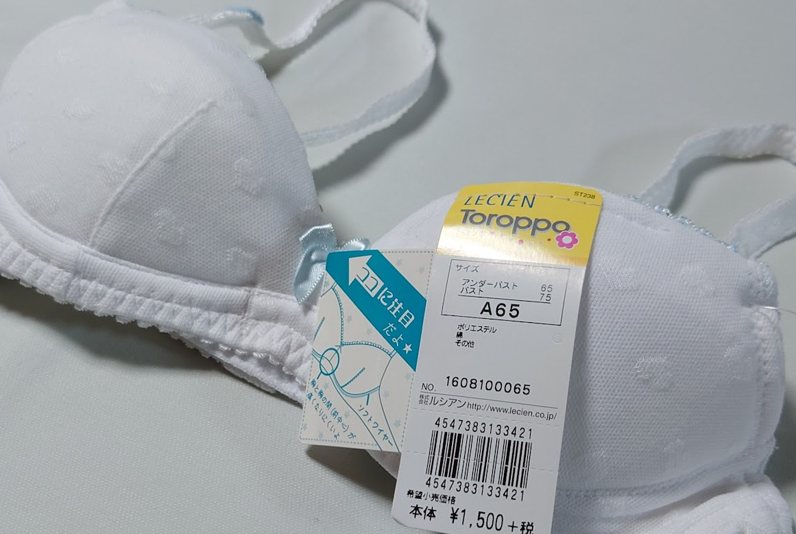 白のジュニアブラ 水色リボン A65(インナーウエア一般)｜売買されたオークション情報、yahooの商品情報をアーカイブ公開 - オークファン（aucfan.com）