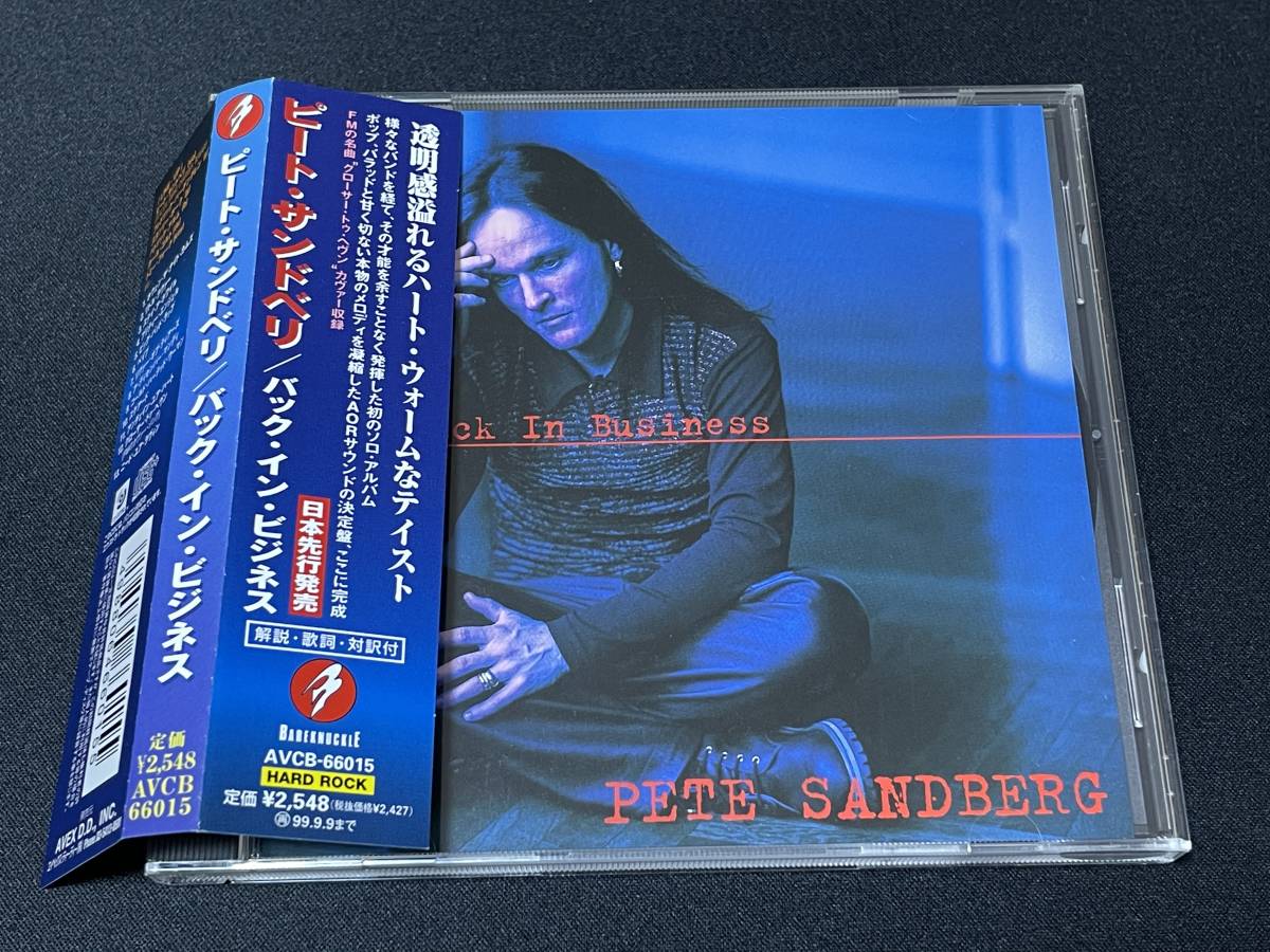 北欧HR メロハー AOR PETE SANDBERG/BACK IN BUSINESS EX.ALIEN(一般)｜売買されたオークション情報 ...