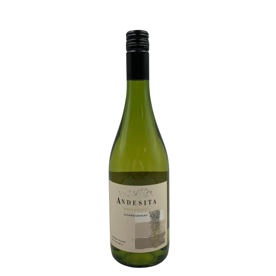 1円スタート アンデシータ シャルドネ 白 2021 750ml 13% ANDESITA Chardonnay 1F(フランス)｜売買されたオークション情報、yahooの商品情報をアーカイブ ...