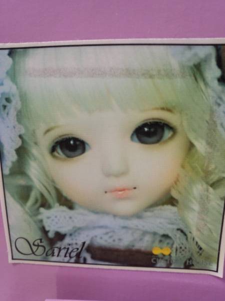 カスタムハウス petite Ai enfart sariel サリエル(本体)｜売買されたオークション情報、yahooの商品情報をアーカイブ公開 - オークファン（aucfan.com）