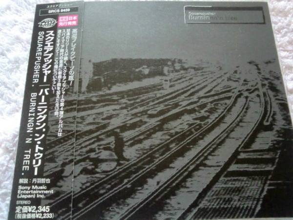国内 バーニングン ン トゥリー BURNINGN'N TREE /SQUAREPUSHER(テクノ)｜売買されたオークション情報、yahooの商品情報をアーカイブ公開 - オークファン ...