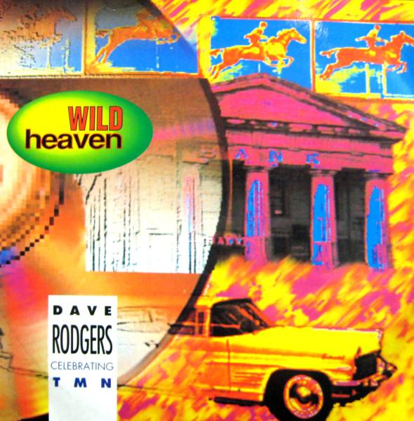 12 WILD HEAVEN/DAVE RODGERS 小室哲哉 TMNマハラジャ(ユーロビート)｜売買されたオークション情報、yahooの ...