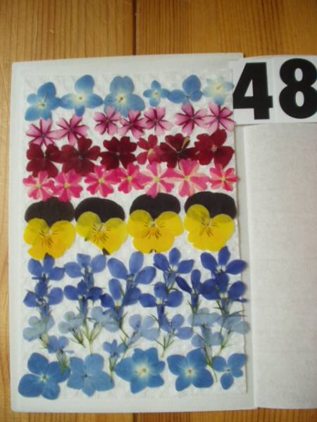 押し花素材 小花ミニミニセット 48／難あり品 s-3098(押し花)｜売買されたオークション情報、yahooの商品情報をアーカイブ公開 - オークファン（aucfan.com）