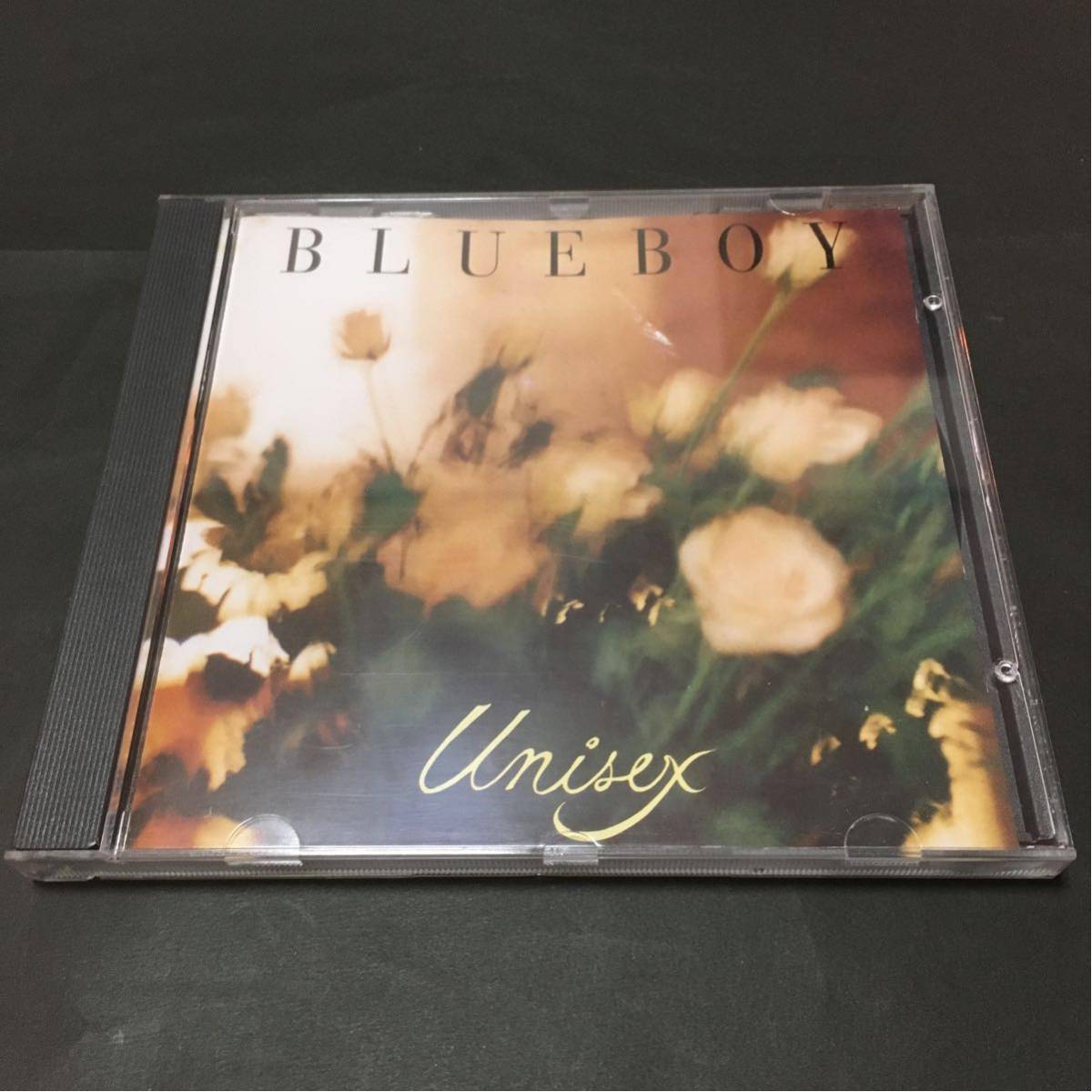 Unisex Blueboy ブルーボーイ Sarah Records UK 1994年 廃盤CD 検The Sundays Wake Field Mice Heavenly ネオアコ ギター ...