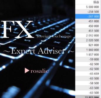 1000万円達成 最新履歴連載中 FX Expert Adviser MT4 EA 初心者 上級者ま 全ての方に 日経 株 BTC ドル円 ツール システム 自動売買(一般ビジネスソフト ...