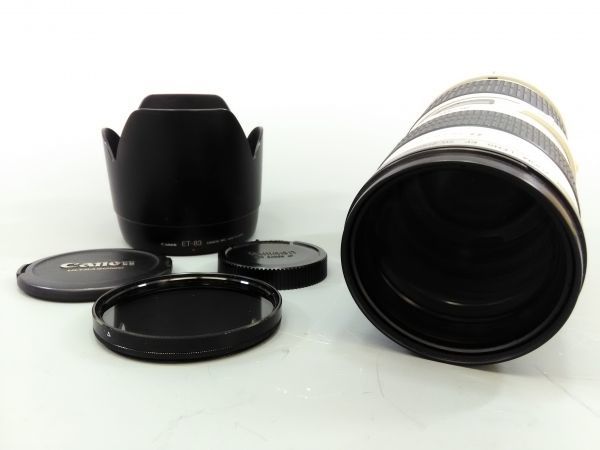R1102-10/KN30000 カメラ レンズ Canon キャノン ULTRASONIC LENS EF 70-200mm 1:2.8 ...
