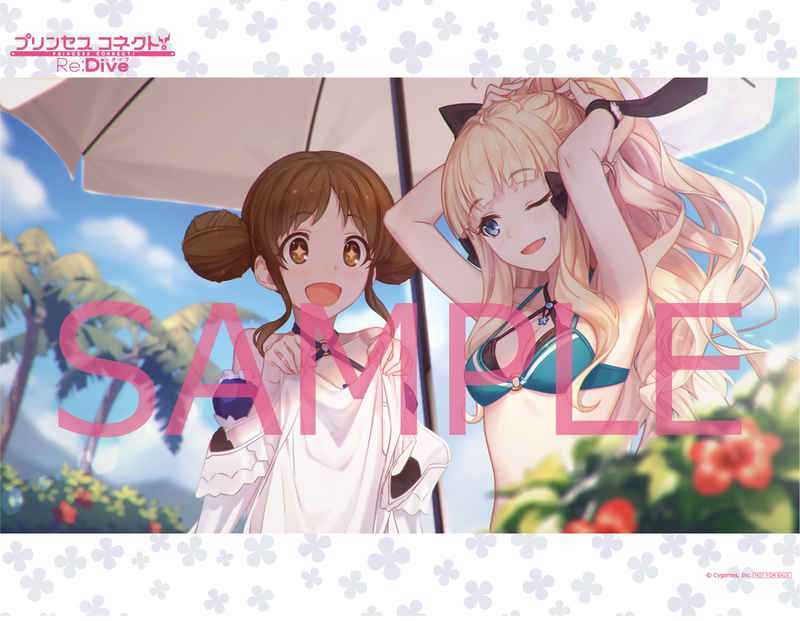 プリンセスコネクト Re Dive 1巻 とらのあな 特典 B2タペストリー 描き下ろし 店舗特典 プリコネ サレン スズメ(タペストリー)｜売買されたオークション情報、yahooの商品情報を ...