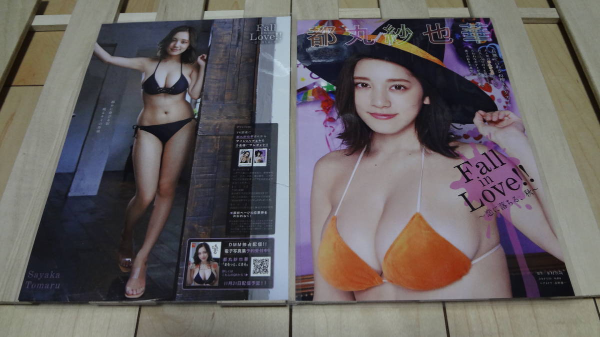 都丸紗也華 巨乳グラドル 彡雑誌切抜B5ラミネート8P T157B88W60H84 美尻 美脚 美乳 D31(タレント)｜売買されたオークション情報、yahooの商品情報をアーカイブ公開 ...