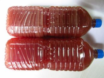 濃縮PSB バクテリア メダカ 金魚に 光合成菌2000ml.2本増殖伝授(総合安定剤)｜売買されたオークション情報、yahooの商品情報をアーカイブ公開 - オークファン（aucfan.com）