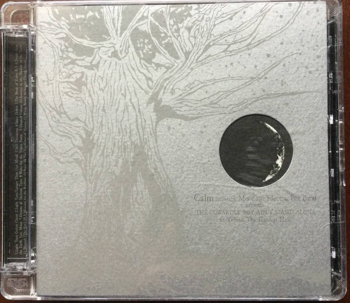 2枚組 Calm:featuring Moonage Electric Big Band Nujabes Hydeout ...