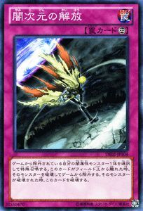 遊戯王 闇次元の解放 デュエリスト エディション Vol.2 DE02 遊戯王カード 永続罠(その他)｜売買されたオークション情報、yahooの商品情報をアーカイブ公開 - オークファン ...