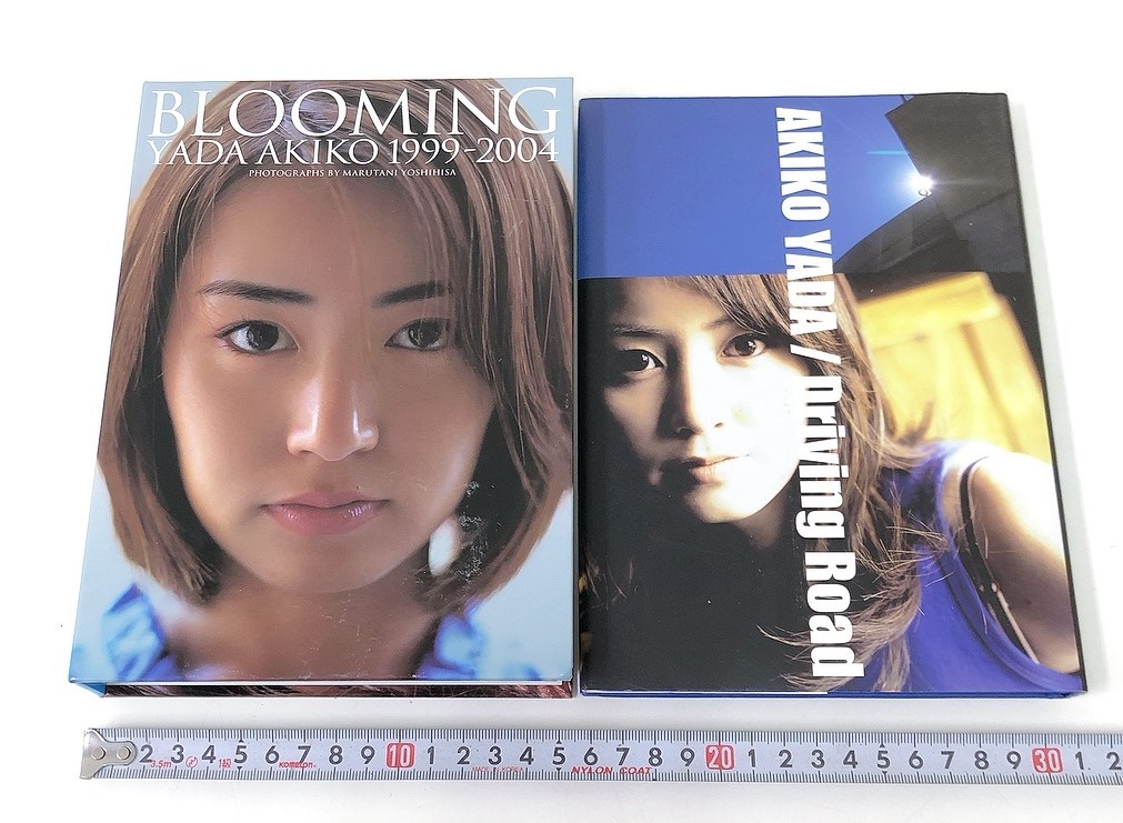 矢田亜希子 ラストクリスマス DVD BLOOMING などまとめて Driving Road/織田裕二/A2130(日本)｜売買されたオークション情報、yahooの商品情報をアーカイブ公開 ...
