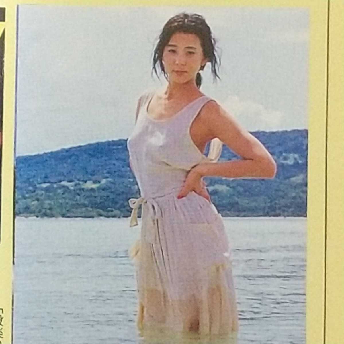 1-079 緒川たまき 三井ゆり 水野美紀 設楽りさ子 西田ひかる ピッチティッツにこだわる人たち 乳首 びーちく立ち好き 現在入手困難品(タレント)｜売買されたオークション情報、yahooの ...