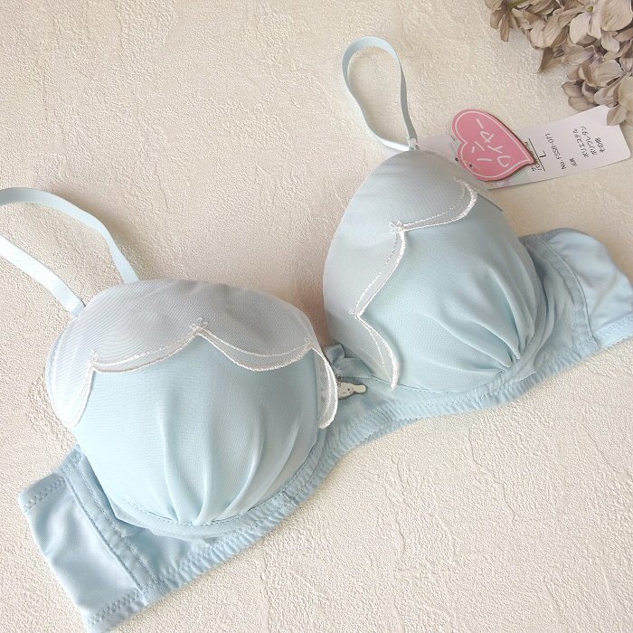 サンリオ シナモロール Lサイズ A80 B75 B80 C75 D70 D75 E70 対応 ブラジャー ノンワイヤー 可愛い ブラ 0407(75)｜売買されたオークション情報、yahoo ...