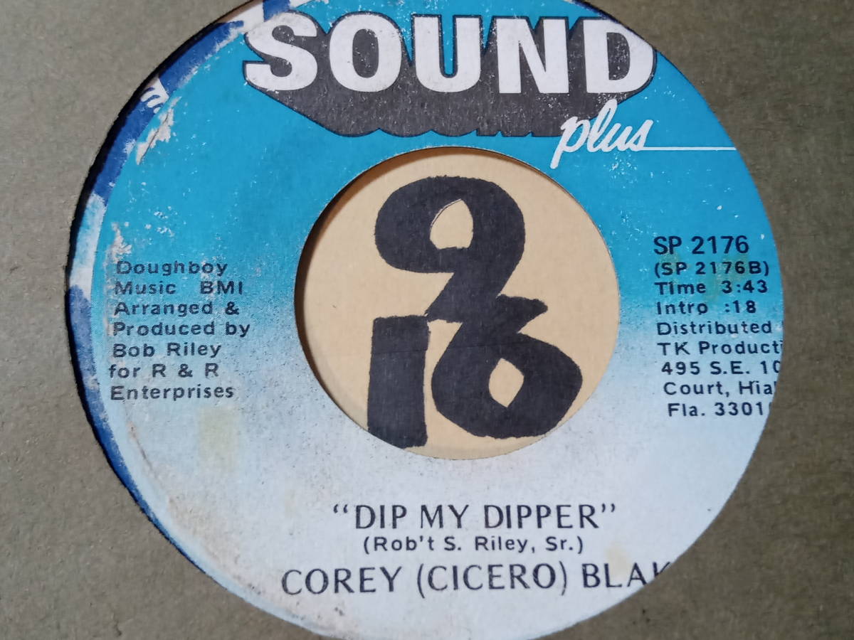 試聴 同様 78年シカゴ ブルース マンのヒット曲 COREY CICERO BLAKE DOIN’ WHAT COMES NATURALLY ...
