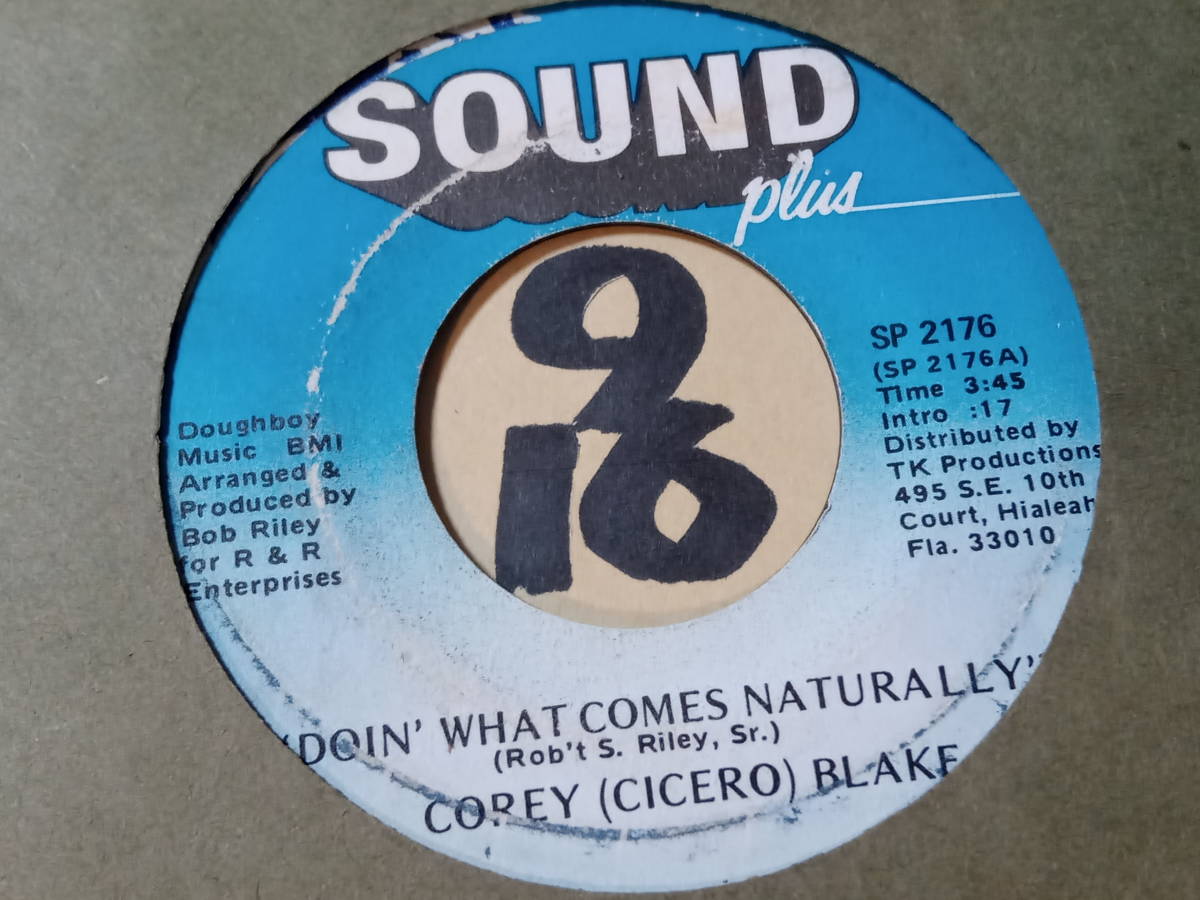 試聴 同様 78年シカゴ ブルース マンのヒット曲 COREY CICERO BLAKE DOIN’ WHAT COMES NATURALLY ...