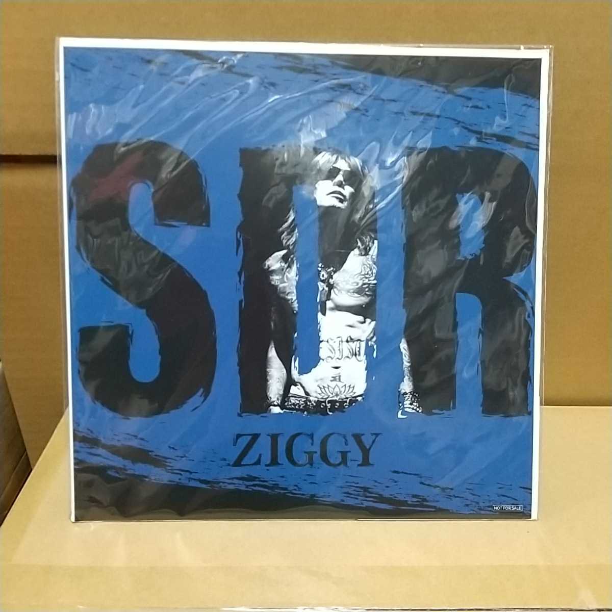 ZIGGY 森重樹一 SDR メガジャケ／amazon アマゾン(ZIGGY)｜売買されたオークション情報、yahooの商品情報をアーカイブ公開 - オークファン（aucfan.com）