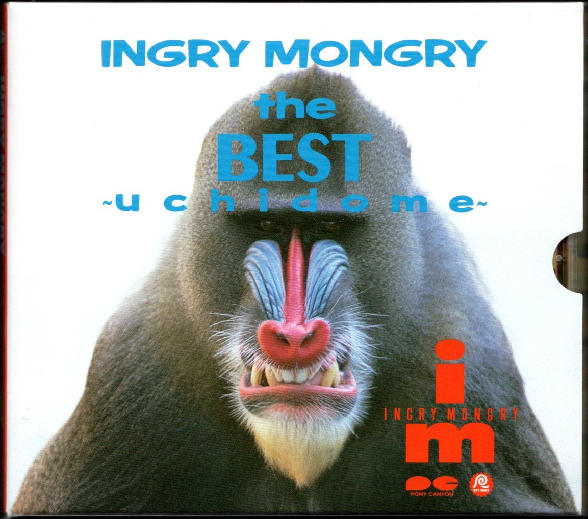 CD いんぐりもんぐり/INGRY'S/INGRY MONGRY/the BEST Uchidome/ベストアルバム(その他)｜売買された ...