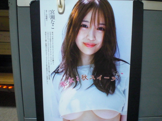 宮瀬なこ 美女と秋スイーツ グラビア 切り抜き 8ページ HONEY POPCORN K-POP(タレント)｜売買されたオークション情報、yahooの商品情報をアーカイブ公開 - オークファン ...