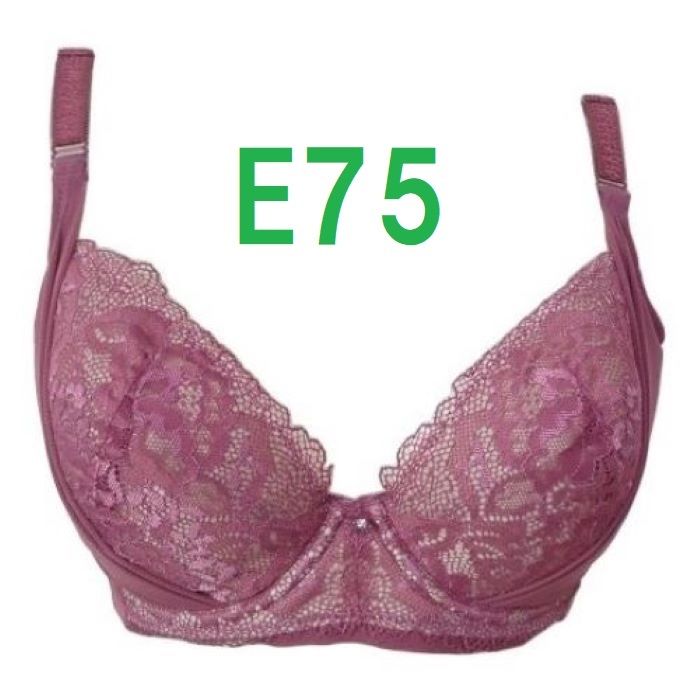 E75 ローズ 脇高ブラジャー ワイヤー入り 補正下着 2重リフトアップパネル カップ裏 綿100％ 定価：2189円(75)｜売買されたオークション情報、yahooの商品情報をアーカイブ公開 ...