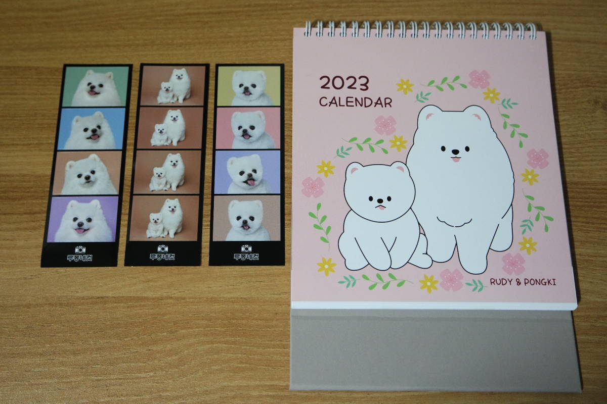 E6 国内発送 即納 ルディ ポンキ ルポン家 ポメラニアン 最新 2023年 卓上カレンダー 写真93枚 youtube PONGKI ...