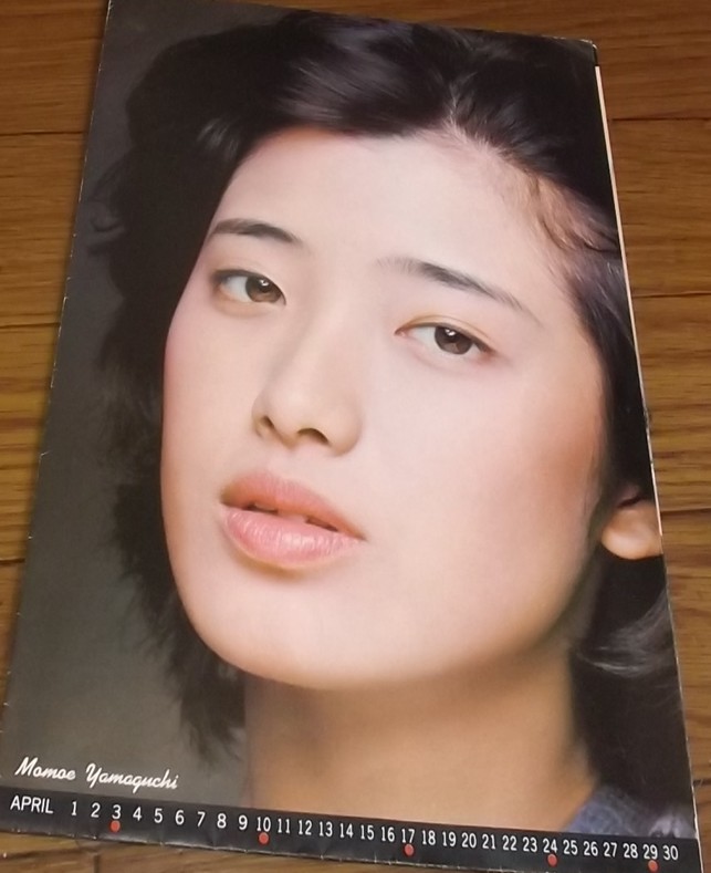 70年代 山口百恵 木之内みどり アグネスラム 神保美喜 ポスター 送料140円(タレント)｜売買されたオークション情報、yahooの商品情報をアーカイブ公開 - オークファン（aucfan.com）