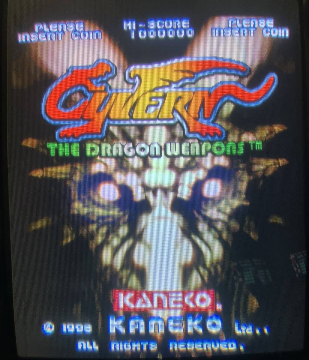 サイヴァーン Cyvern The Dragon Weapons カセットのみ スーパーカネコ NOVAシステム 初期(ゲーム基板)｜売買され ...