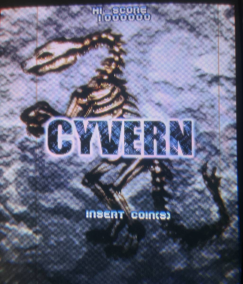 サイヴァーン Cyvern The Dragon Weapons カセットのみ スーパーカネコ NOVAシステム 初期(ゲーム基板)｜売買され ...