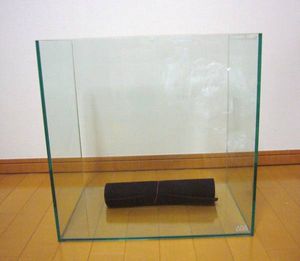 水槽 ADA 45センチ(45cm～)｜売買されたオークション情報、yahooの商品情報をアーカイブ公開 - オークファン（aucfan.com）