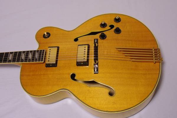 Moon フルアコ Tom Holmes USA搭載(その他)｜売買されたオークション情報、yahooの商品情報をアーカイブ公開 - オークファン（aucfan.com）