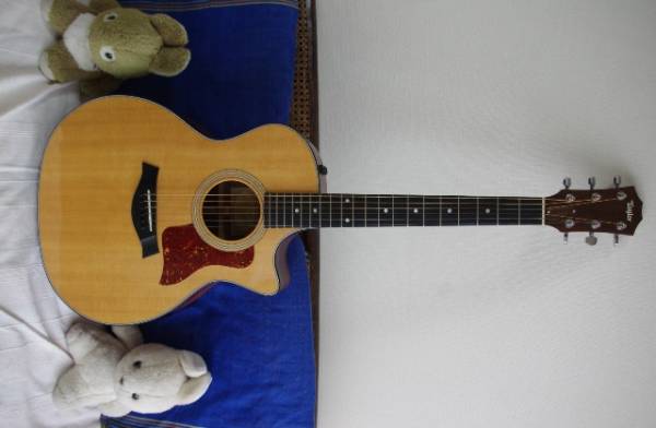 314CE 2011年(テイラー)｜売買されたオークション情報、yahooの商品情報をアーカイブ公開 - オークファン（aucfan.com）