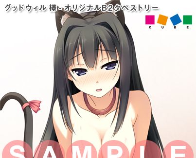 Your diary +H グッドウィル特典 タペストリー/ カントク(タペストリー)｜売買されたオークション情報、yahooの商品情報をアーカイブ公開 - オークファン（aucfan.com）