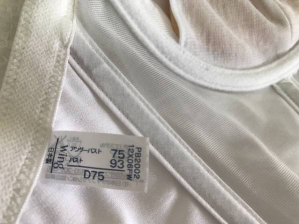 E04039 Wacoal ワコール wing PB2002 ブライダル 補正 D75(Dカップ)｜売買されたオークション情報、yahooの商品情報をアーカイブ公開 - オークファン ...