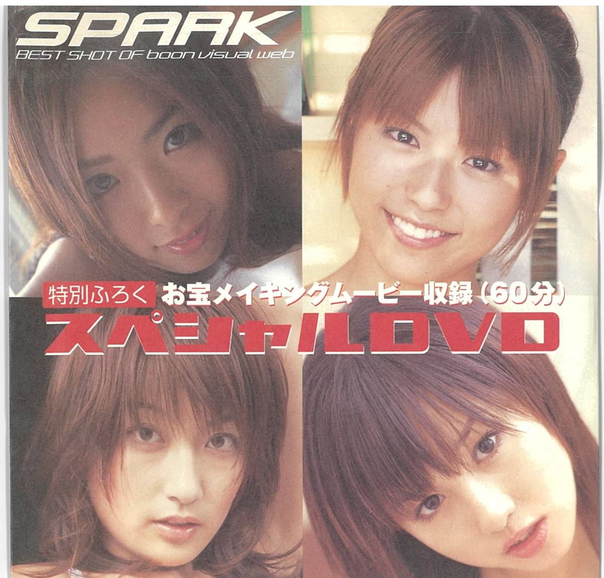 若槻千夏 山本梓 大城美和 沢尻えりか 水谷さくら 安めぐみ 磯山さやか ほか DVD SPARK スペシャルDVD 特別ふろく(複数被写体)｜売買されたオークション情報、yahooの商品情報 ...