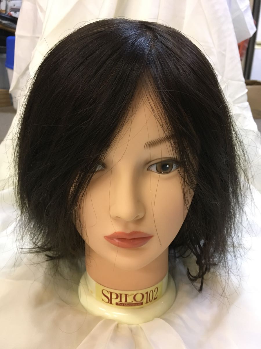 SPILO スピロ 102 カットウィッグ マネキンヘッド ヘアーカット 練習用 黒髪 柊43(女性)｜売買されたオークション情報、yahooの商品情報をアーカイブ公開 - オークファン ...