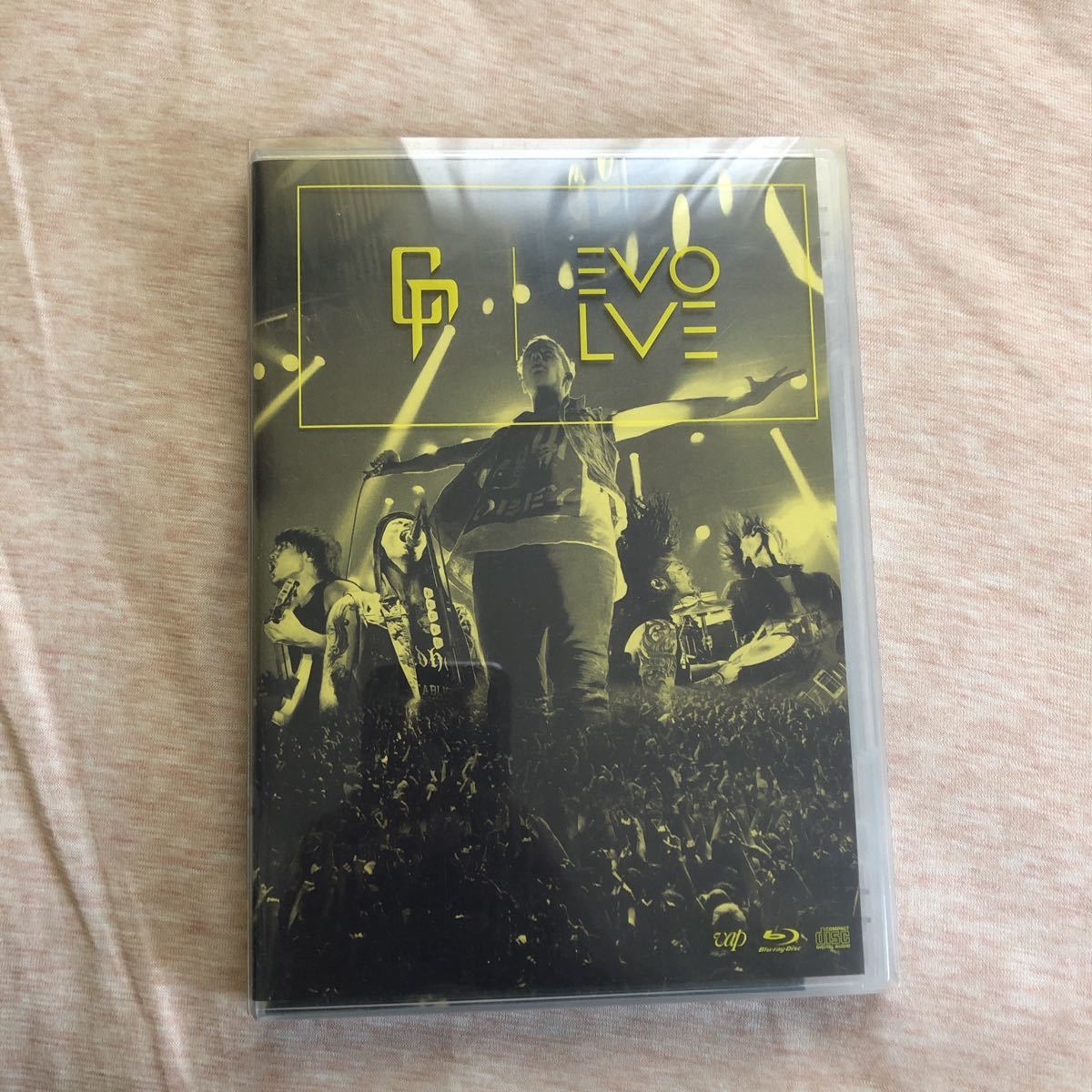 coldrain Evolve BluRay(その他)｜売買されたオークション情報、yahooの商品情報をアーカイブ公開 - オークファン（aucfan.com）