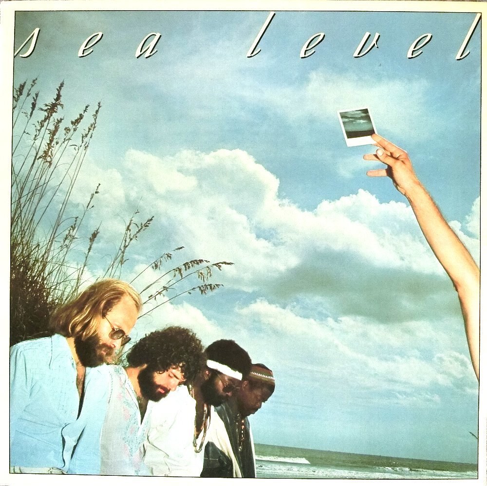 シー レベル SEA LEVEL /USA盤 オールマンBバンドに在籍していたKey奏者(その他)｜売買されたオークション情報、yahooの ...