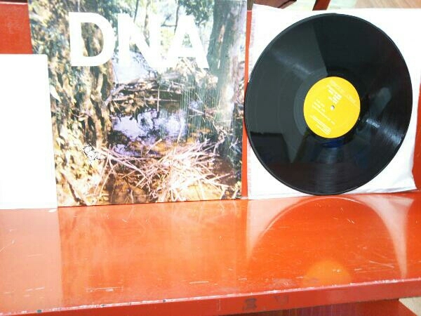 LP DNA A TASTE OF DNA AMCL1003EP(ロック、ポップス（洋楽）)｜売買されたオークション情報、yahooの商品情報 ...