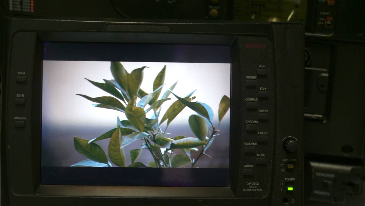 シネアルタ SONY HDW-F900 アダプターHDCA-901 HD-SDI出力あり とファインダーHDVF-20Aが付属(プロ用、業務用 ...