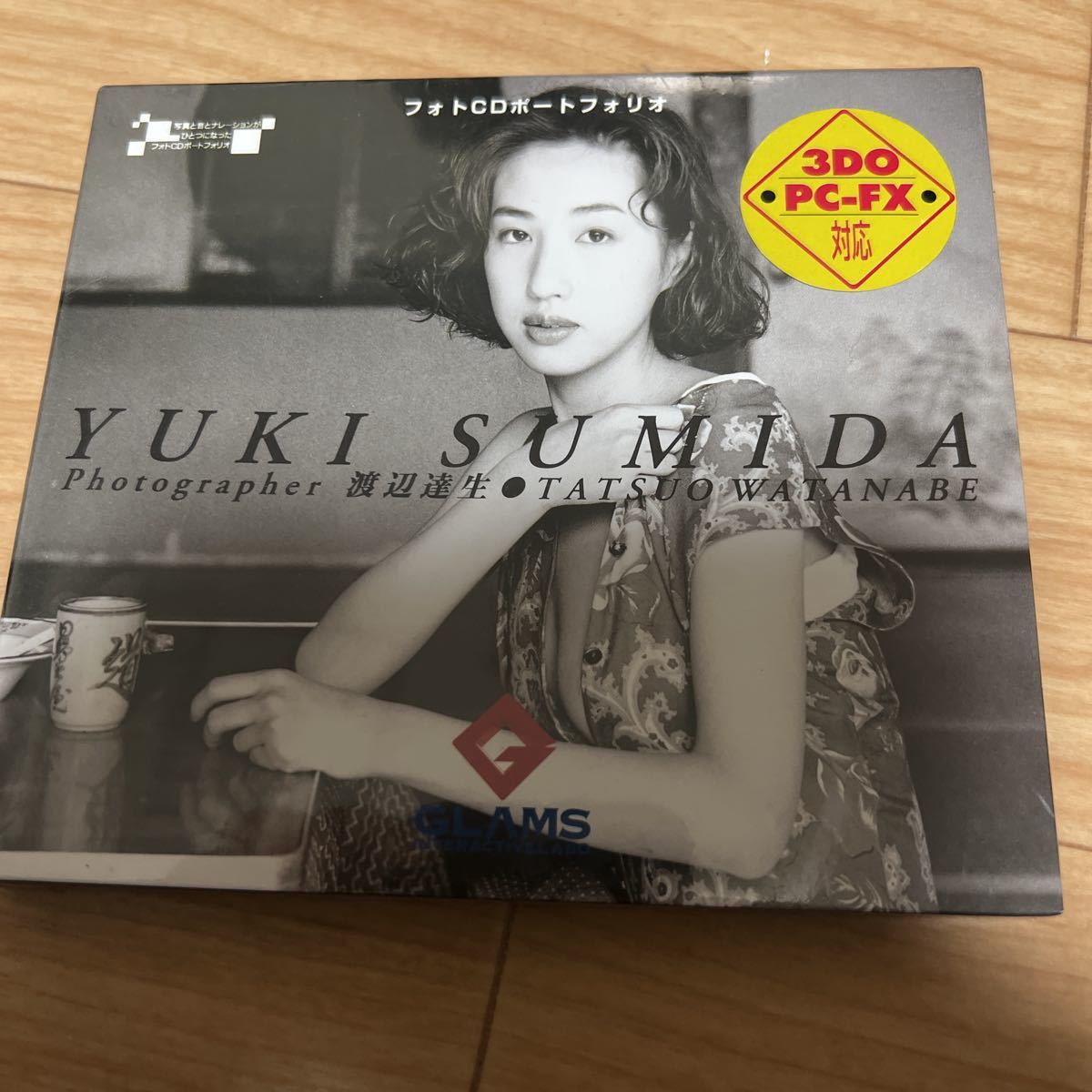 墨田ユキ YUKI SUMIDA(タレントグッズ)｜売買されたオークション情報、yahooの商品情報をアーカイブ公開 - オークファン（aucfan.com）