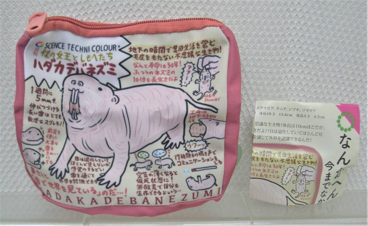 SCIENCE TECHNI COLOUR 図解 なんかへんな生きもの ハダカデバネズミ ポーチ サイエンステクニカラー(その他)｜売買されたオークション情報、yahooの商品情報をアーカイブ ...
