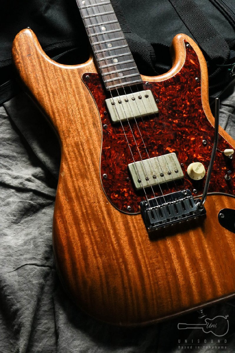 エレキギター dragonfly HI STA Mahogany 6st HH D(その他)｜売買されたオークション情報、yahooの商品情報をアーカイブ公開 - オークファン（aucfan.com）